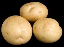 Waneta > Varieties > Eurogrow, suppliers of quality seed potatoes.